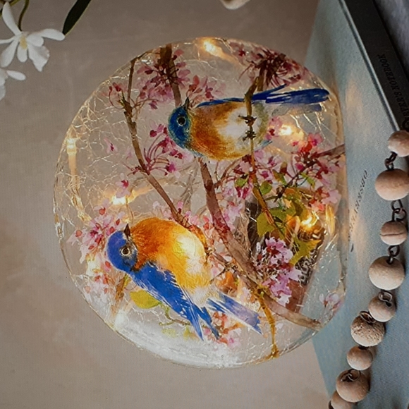 Stony Creek | Accents | Led Lighted Frosted Glass Round Vase Bluebirds ...